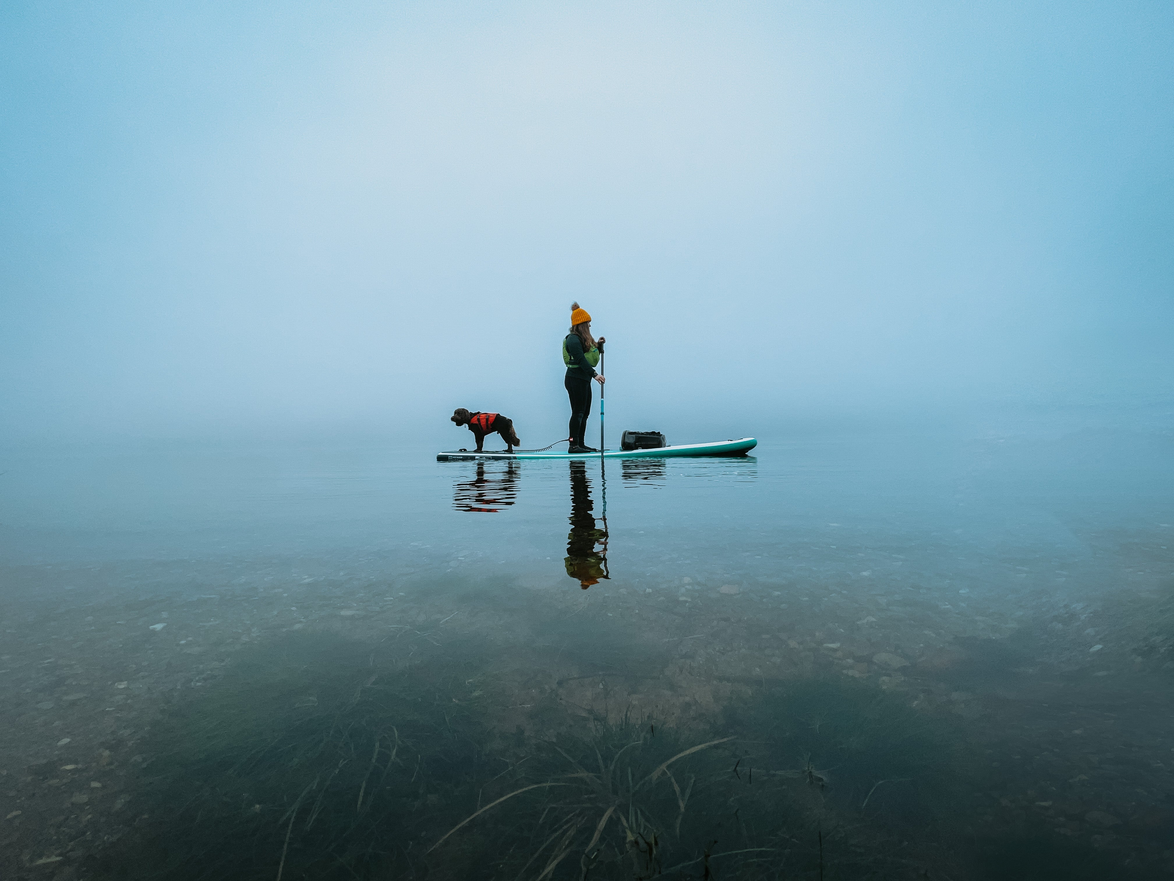 6 Perfect Presents for Outdoorsy Dogs and Dog Lovers from Katie Owen a ...