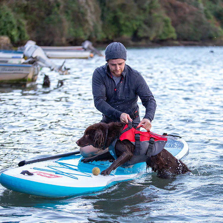 7 Important Tips For Taking Your Dog To The Beach In Summer – Red ...