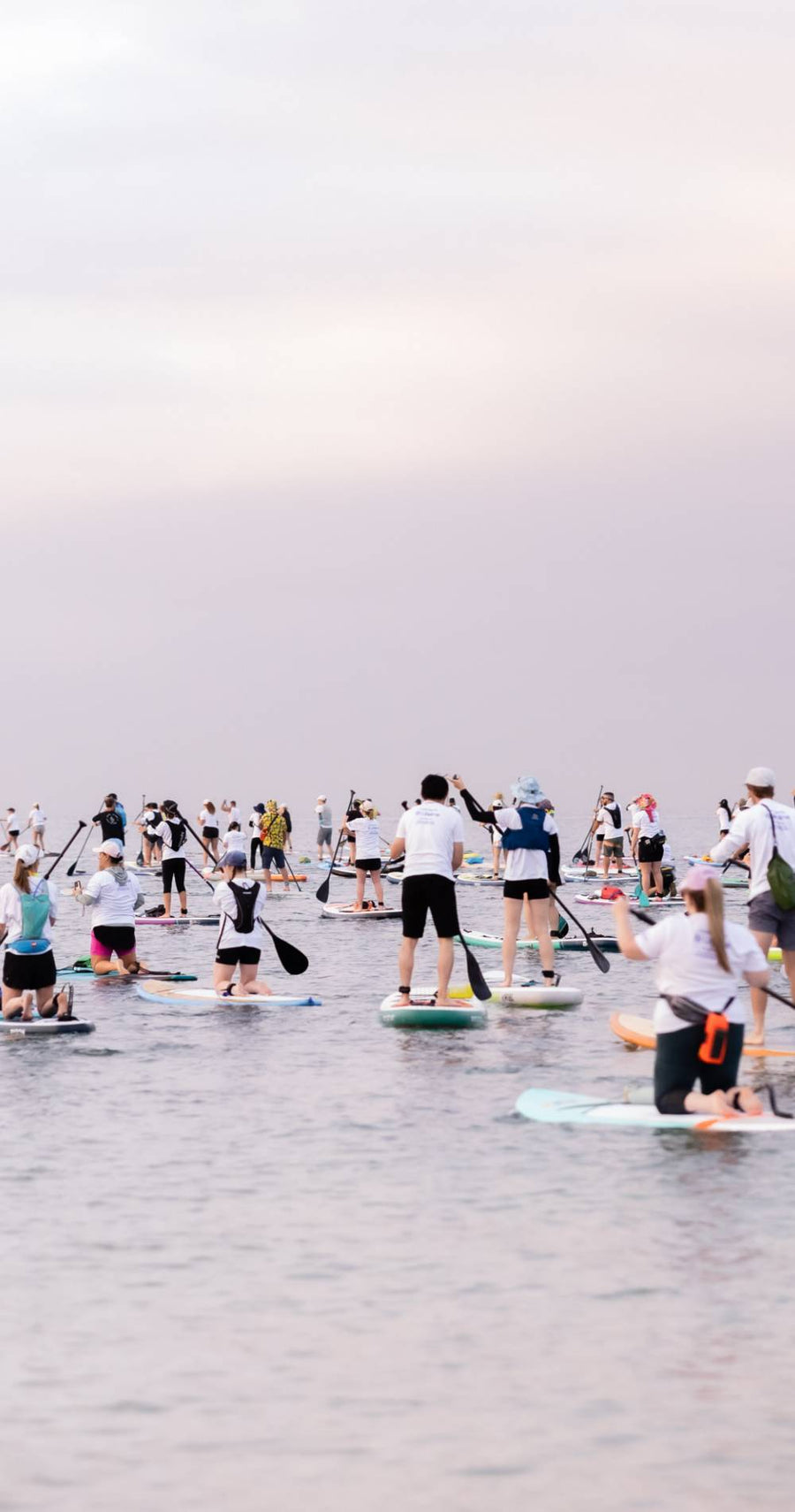 Paddle Across the Bay x Lifeline | SUP for Mental Wellbeing – Red ...
